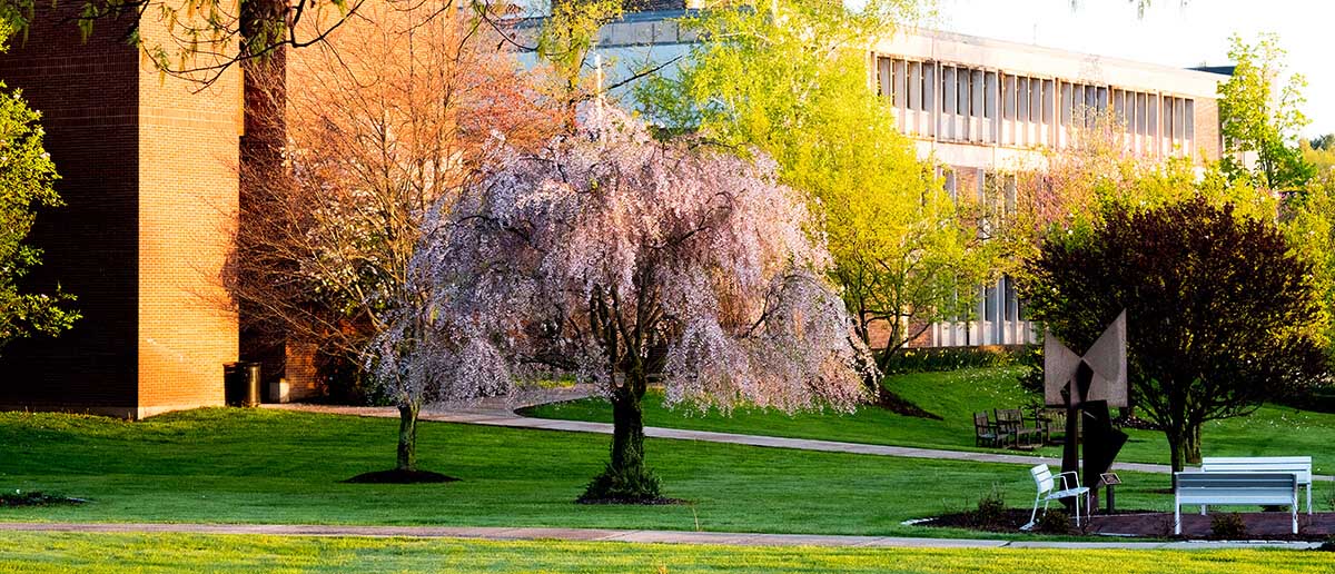 Administration, Cabinet, Deans - University of Hartford