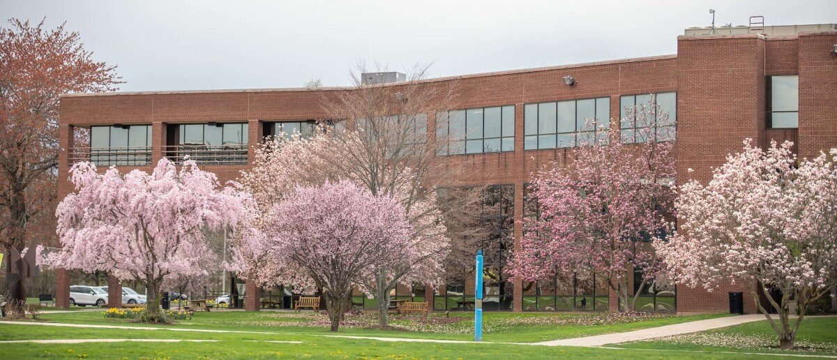 Campus Leadership—Governance and Administration - University of Hartford