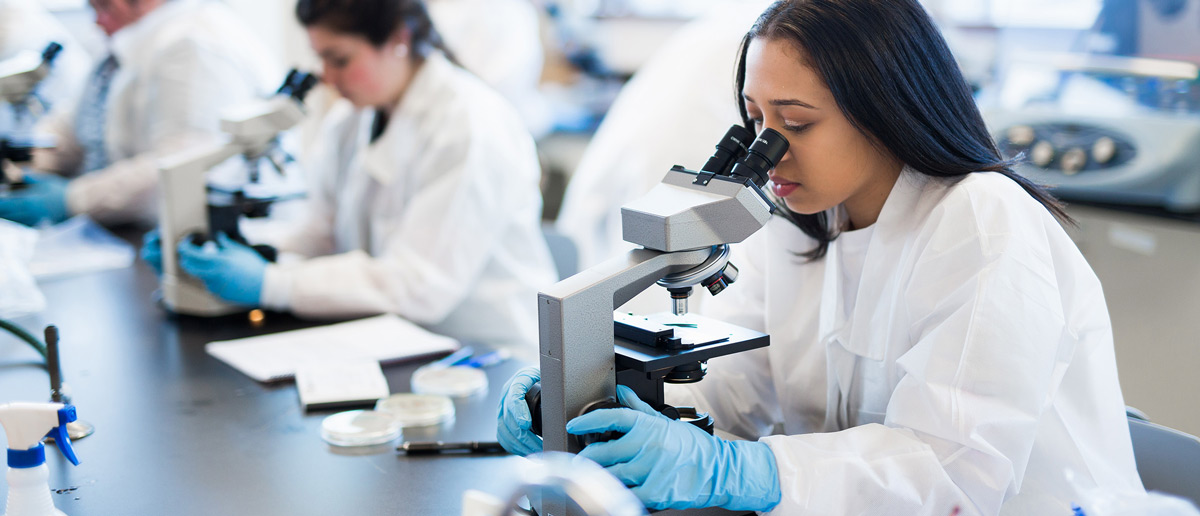 Department of Health Sciences - University of Hartford