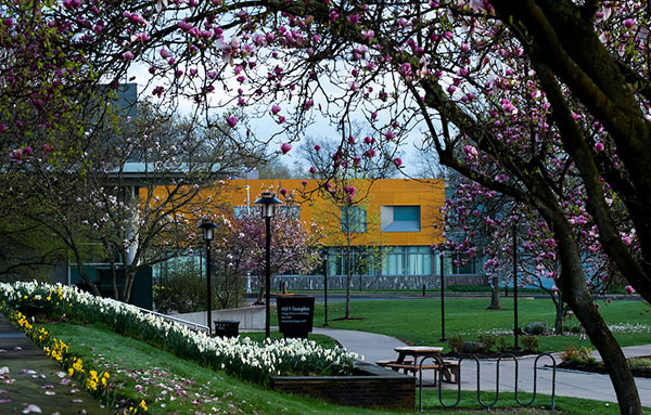 Virtual Experience | University of Hartford