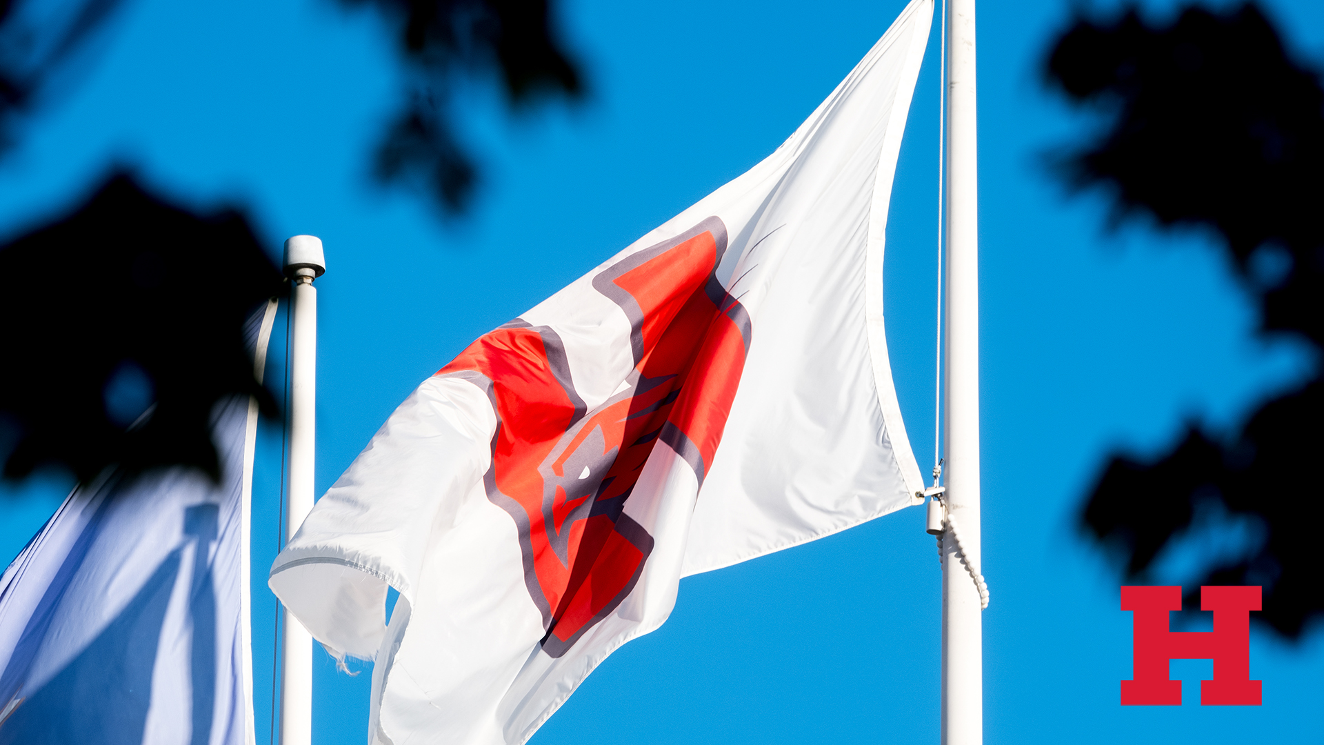 UHart Virtual Backgrounds | University of Hartford