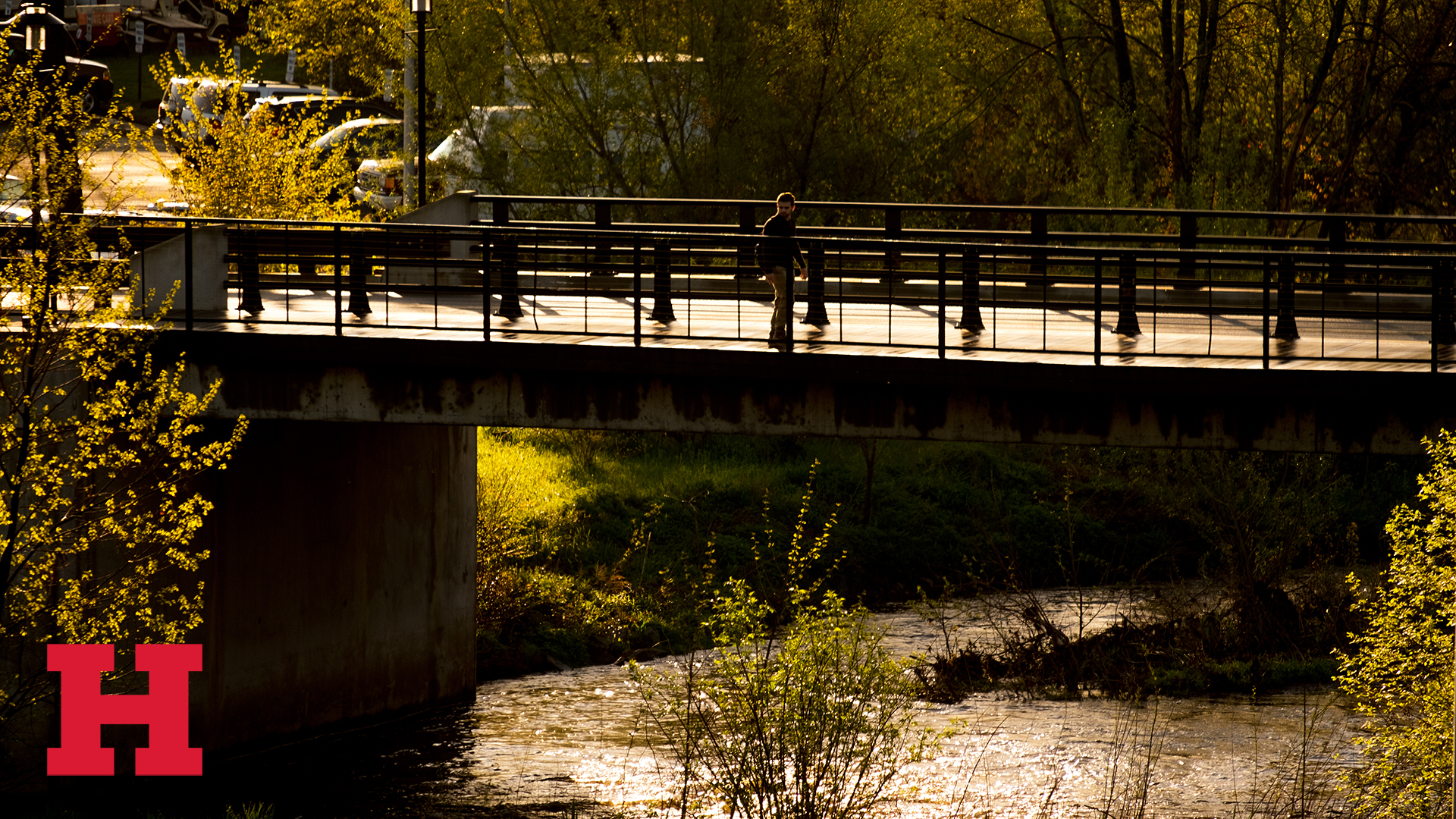 UHart Virtual Backgrounds | University of Hartford