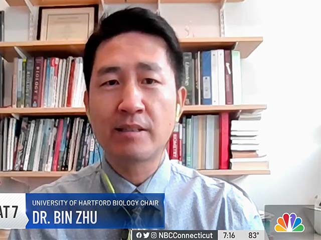 NBC CT Interviews UHart Professor on Endangered Butterflies - University of Hartford